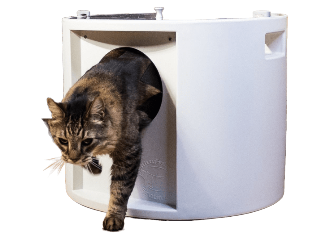 The Ultimate Cat Self Grooming Station: Kittysalon Groomer